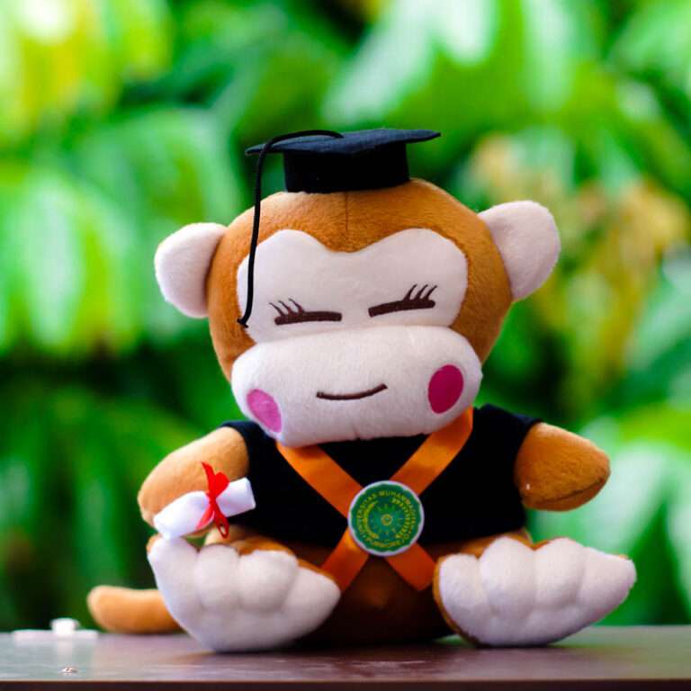 Jual Boneka Flanel Wisuda Murah - Kado Wisudaku