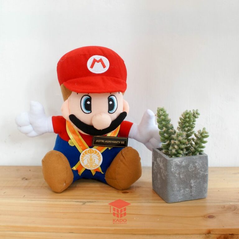 Jual Boneka Super Mario Wisuda - Kado Wisudaku