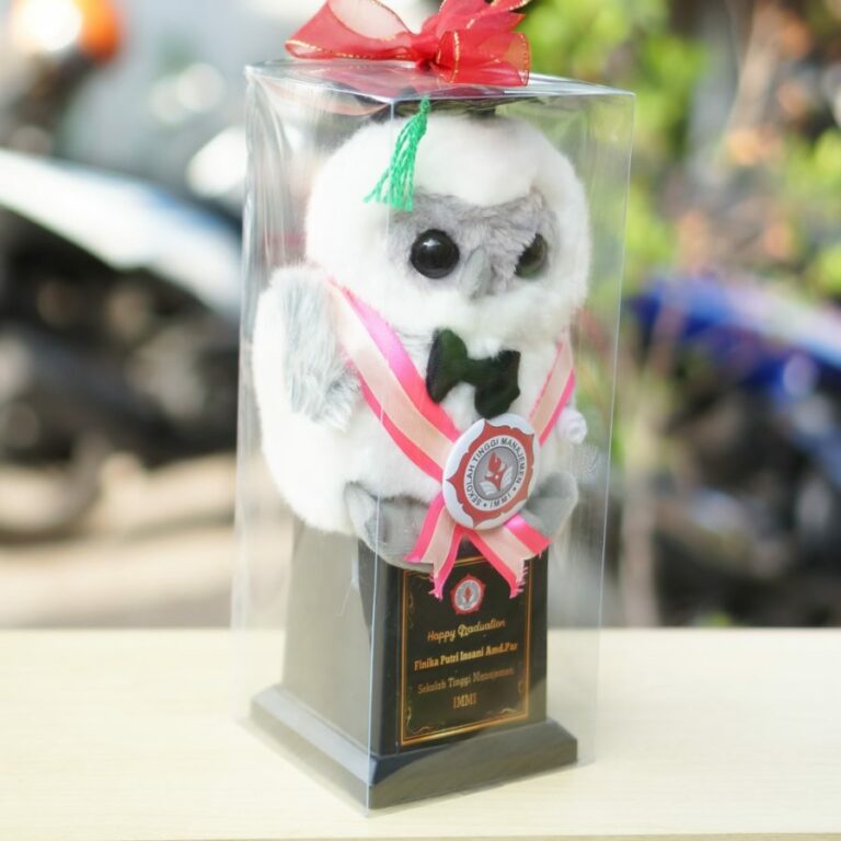 Jual Piala Boneka Wisuda Owl Box Mika - Kado Wisudaku