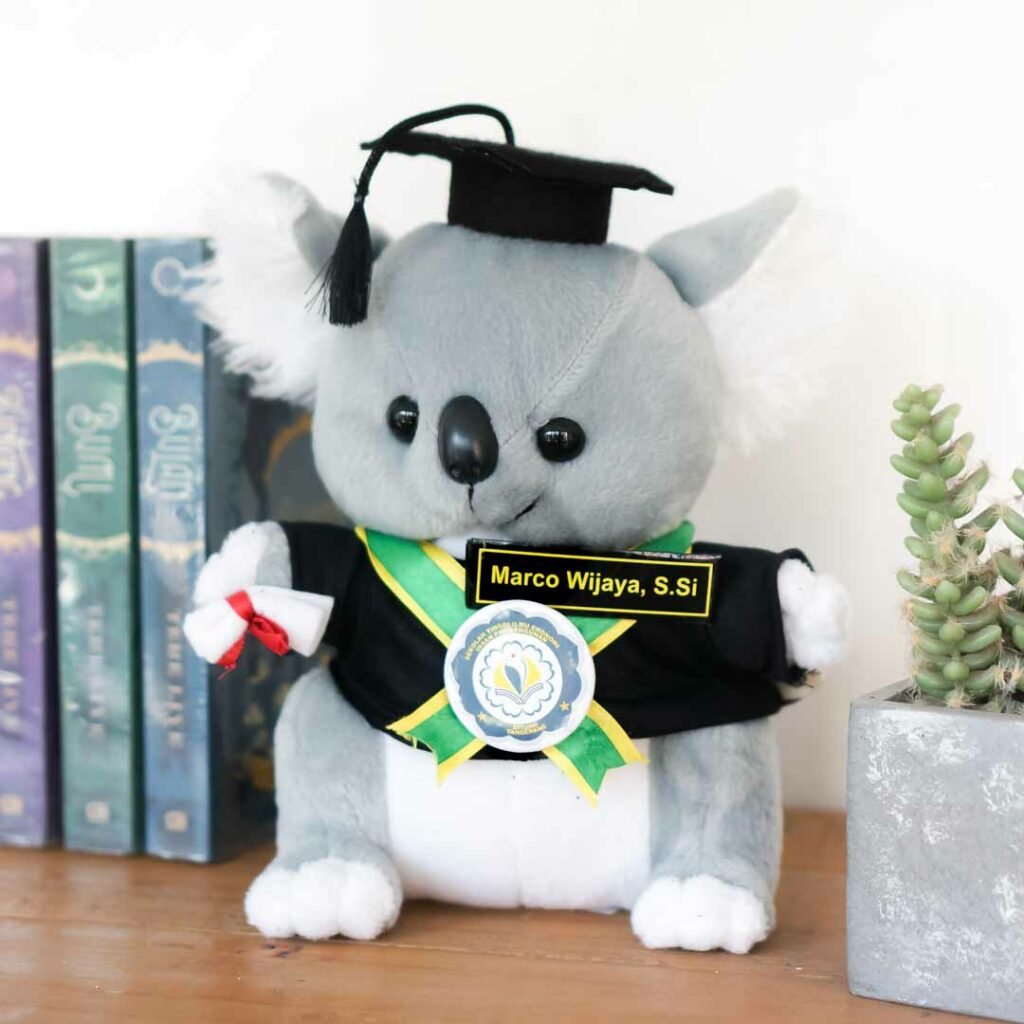 Kado Wisuda Boneka Koala Small - Kado Wisudaku