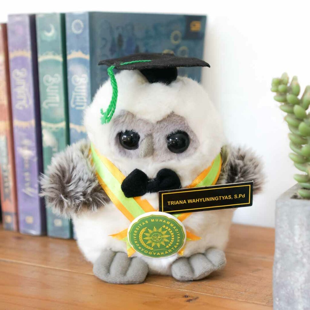 Kado Wisuda Boneka Owl Small White - Kado Wisudaku